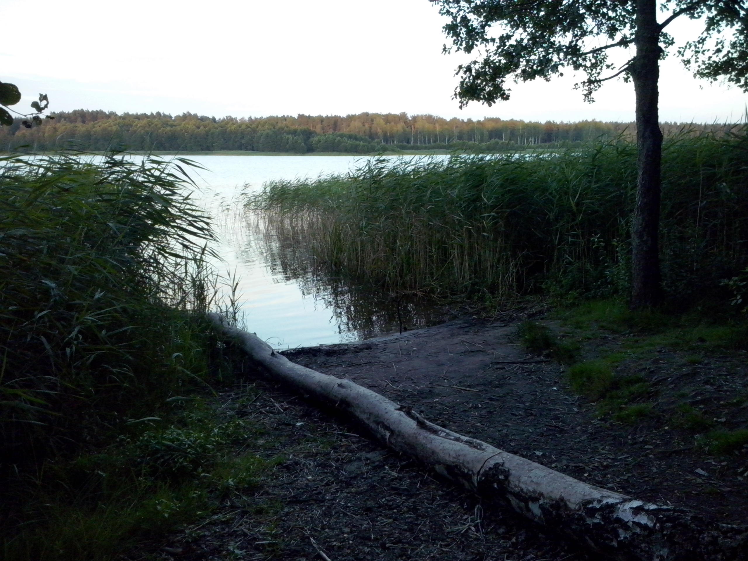 Dūņezers