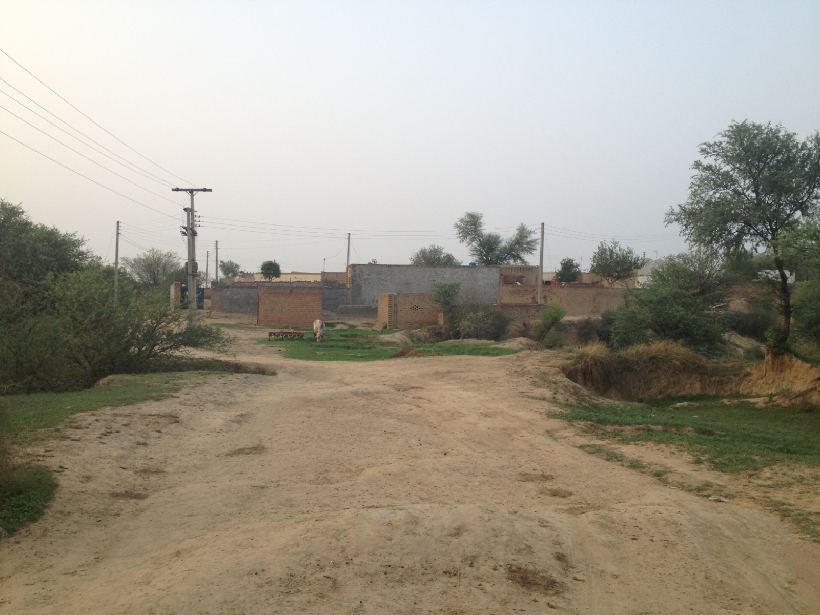Jhanda | village
