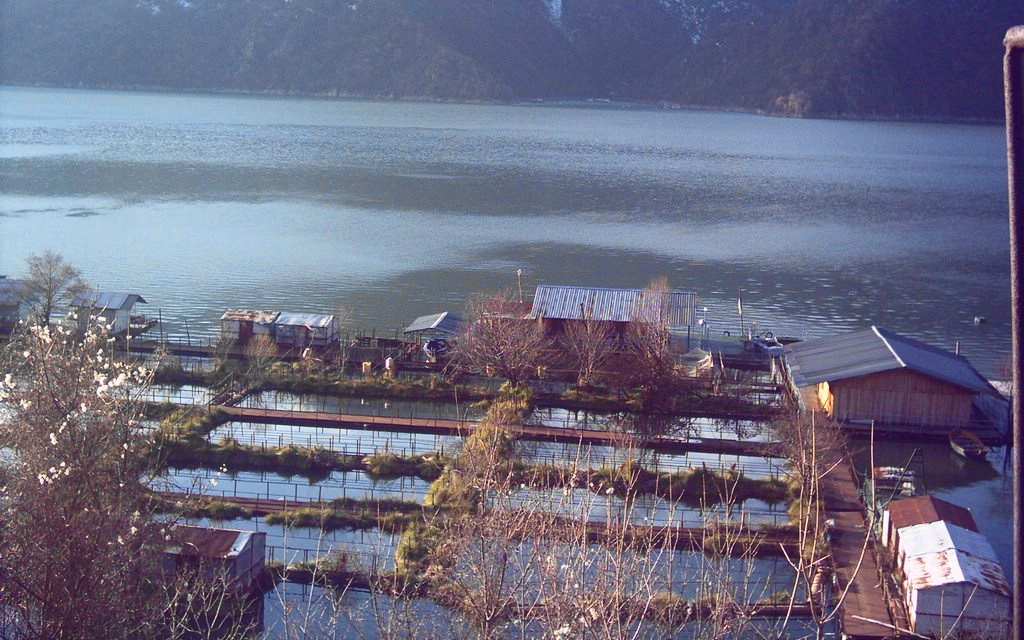 Fish farm