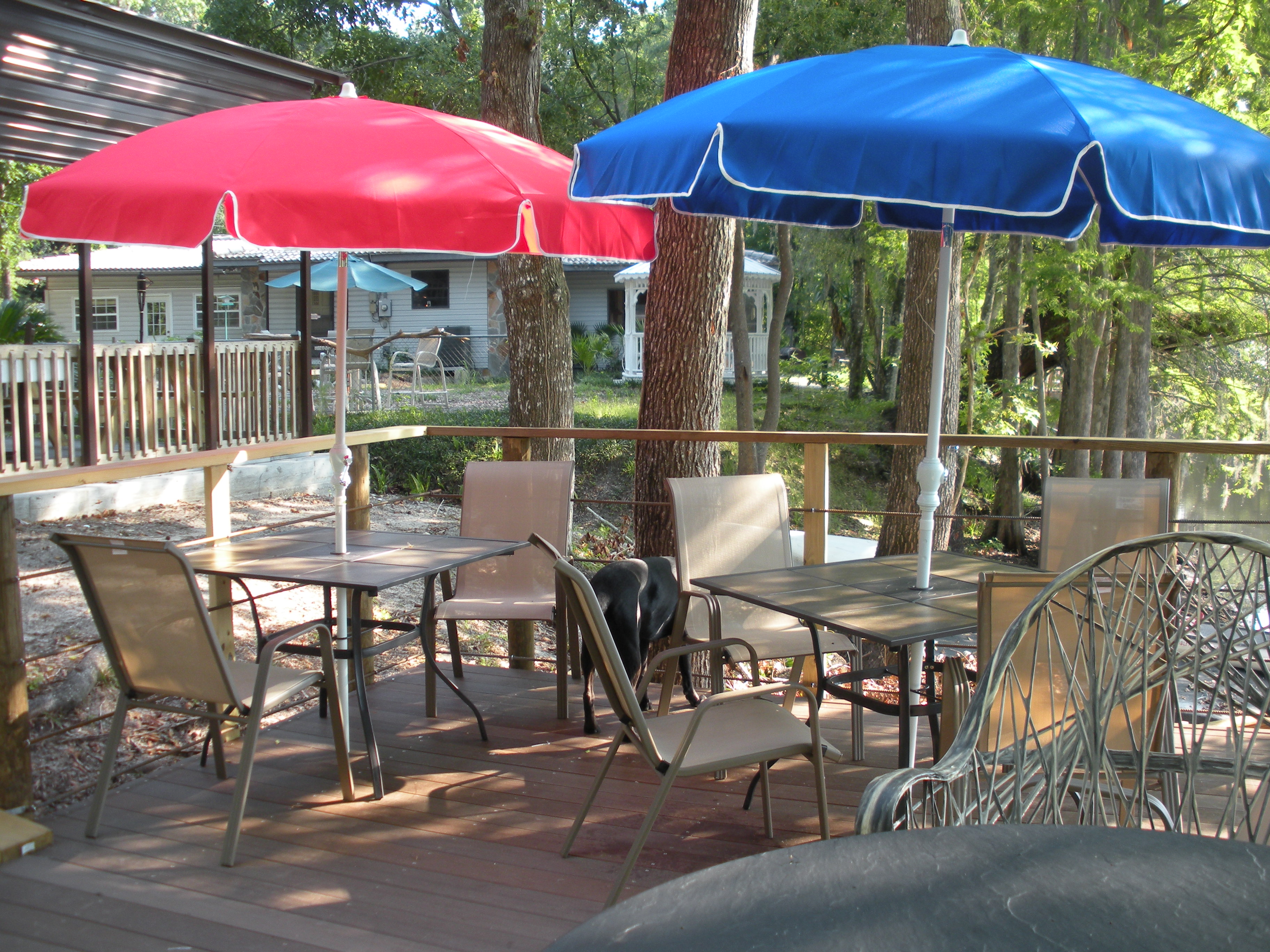 River Ratz Cafe / Nobleton Outpost