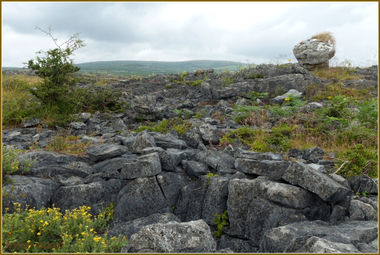 The Burren National Park