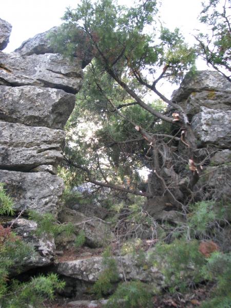 Nuraghe Monte Nieddu