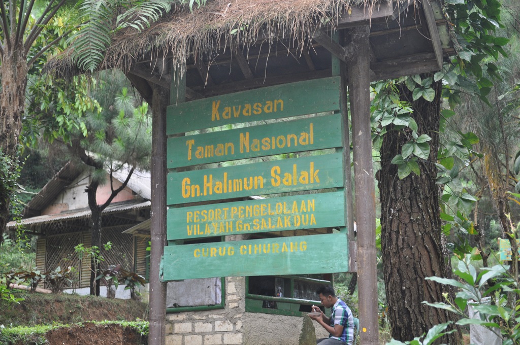 Taman Nasional Gunung Halimun - Salak