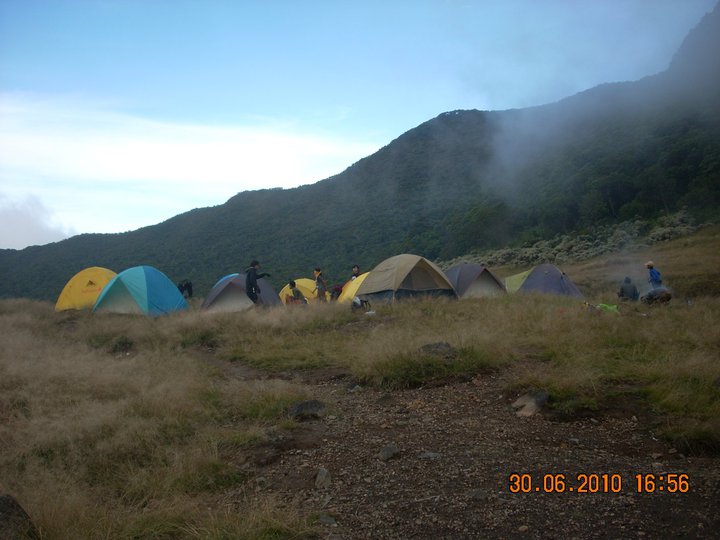 Mount Gede Pangrango National Park