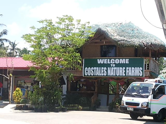 Costales Nature Farms - Majayjay