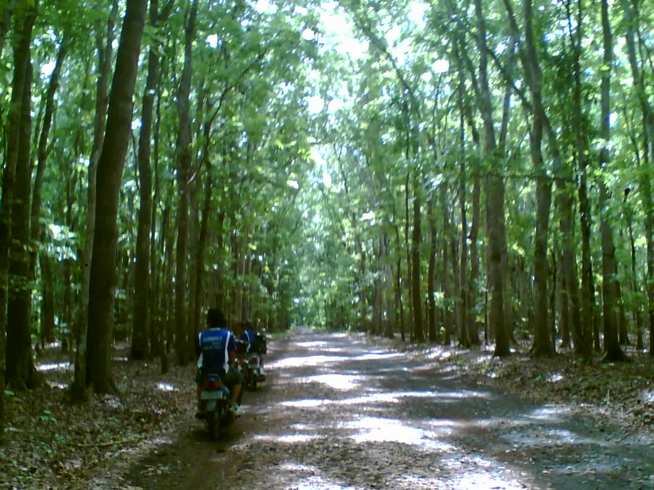 Alas Purwo National Park