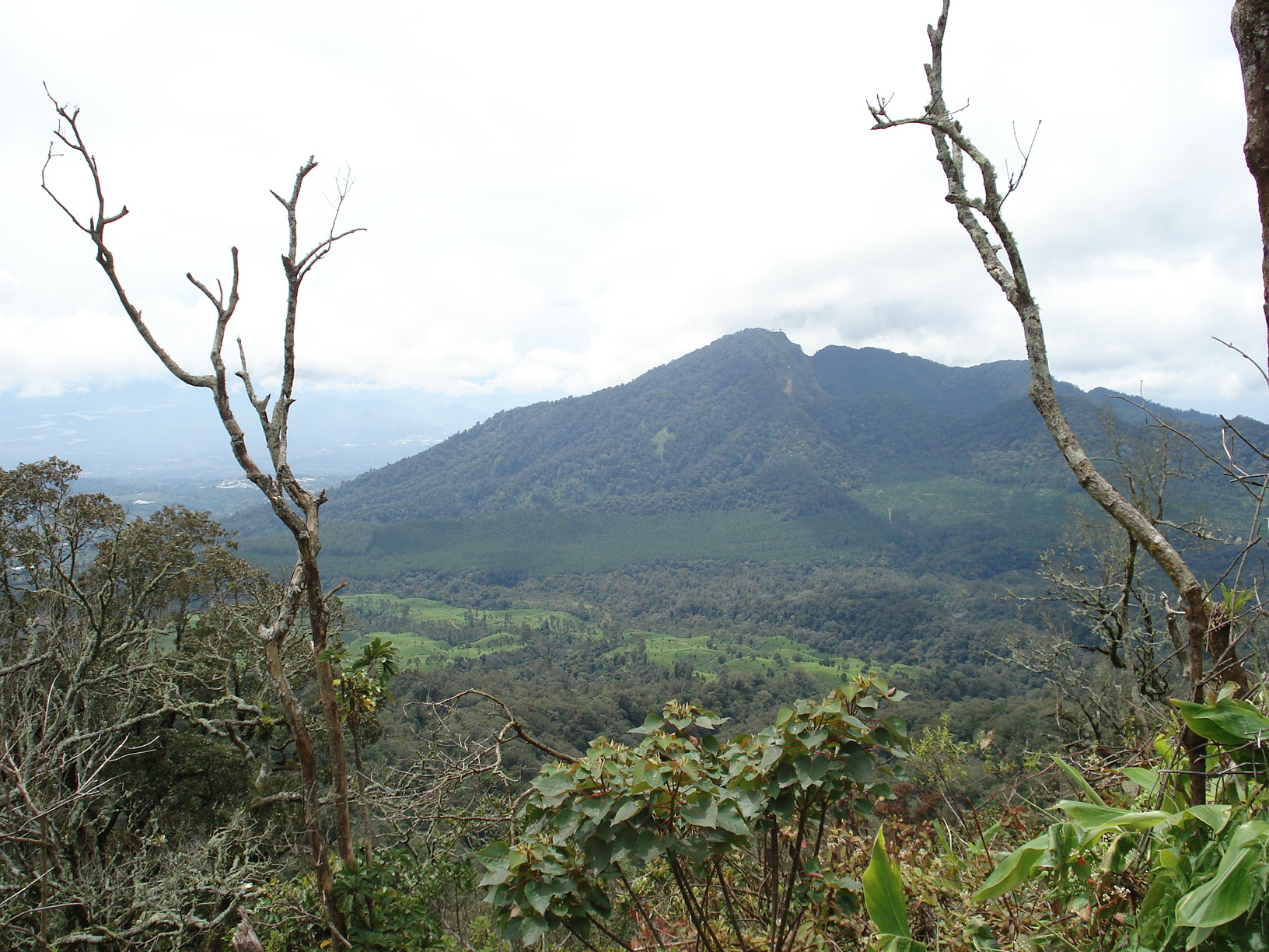 Mt. Burangrang (2064 m)