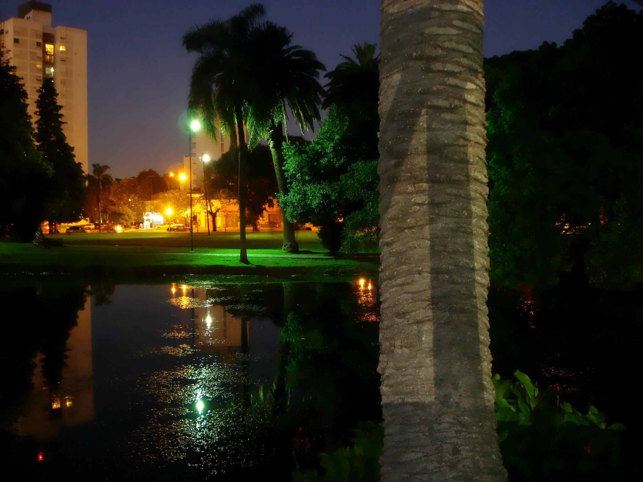 Parque Saavedra | plaza
