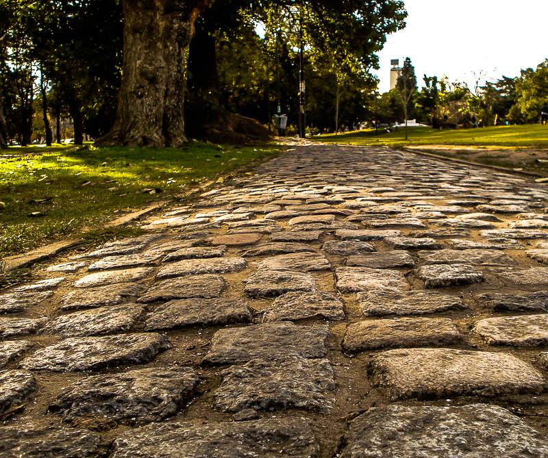 Parque Saavedra | plaza