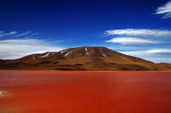 Laguna Colorada
