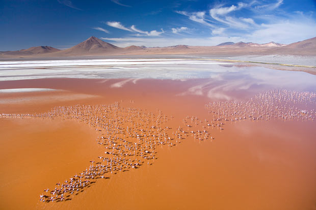 Laguna Colorada