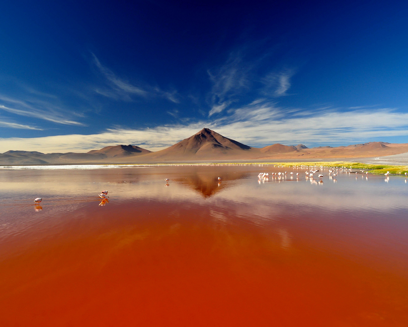 Laguna Colorada