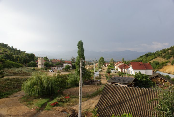 Kallugjerica