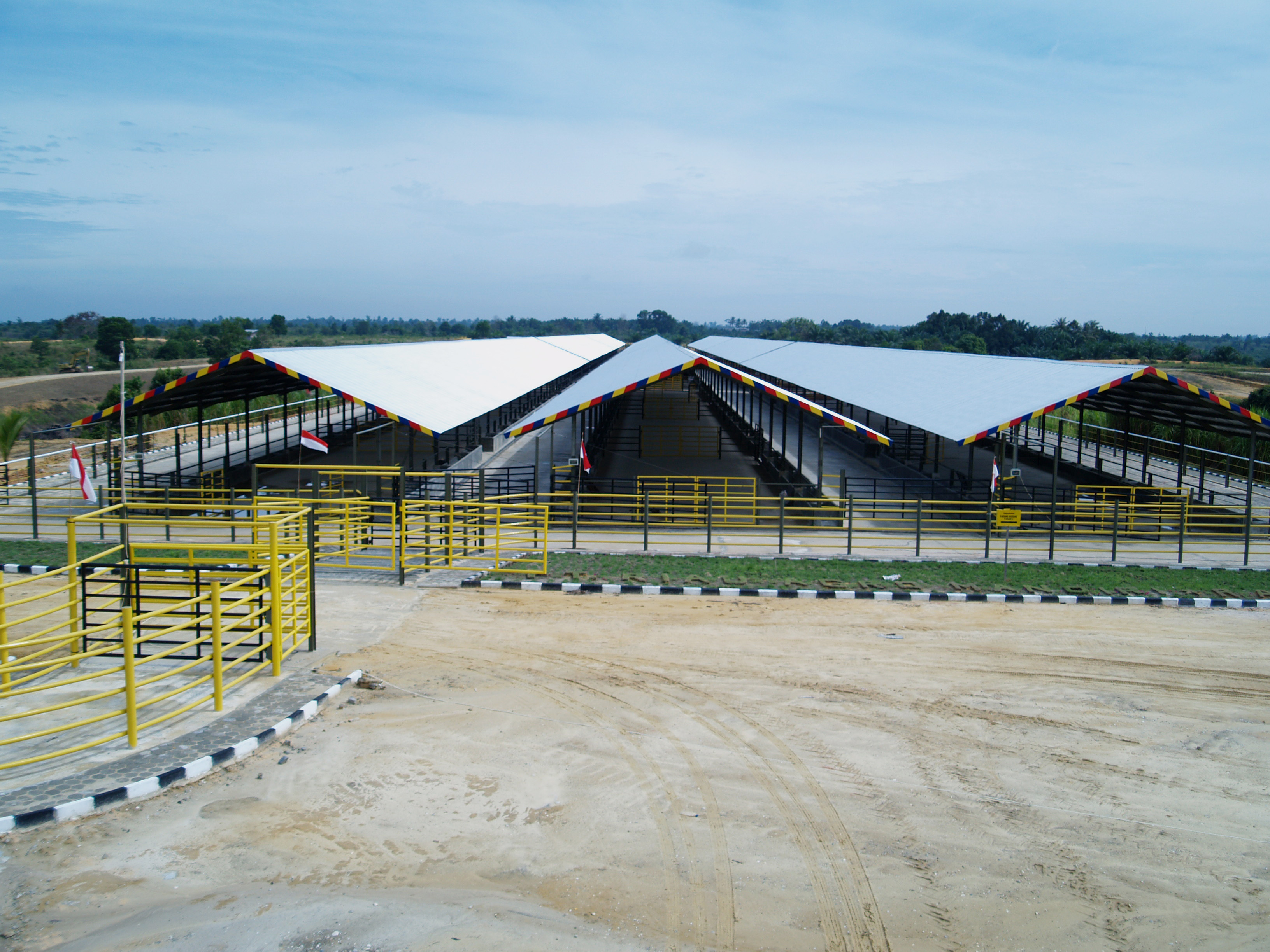 RIAU AGRO MANDIRI