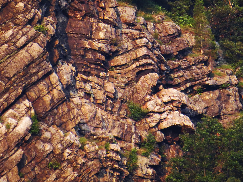 Worthington State Forest | park, hiking, campground, state park