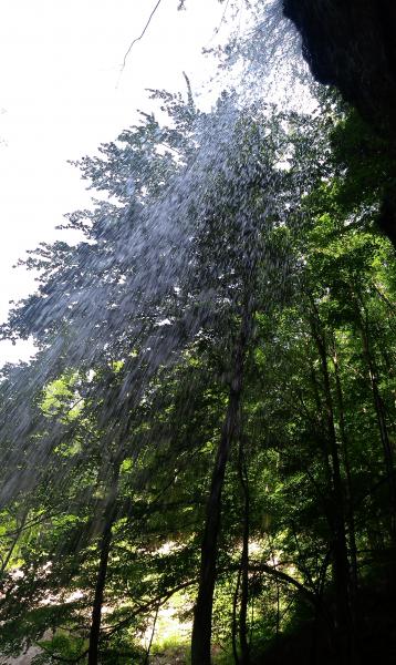 Cascada Bulbuci