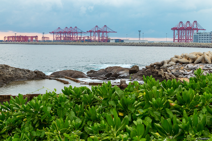 Colombo South Harbour port