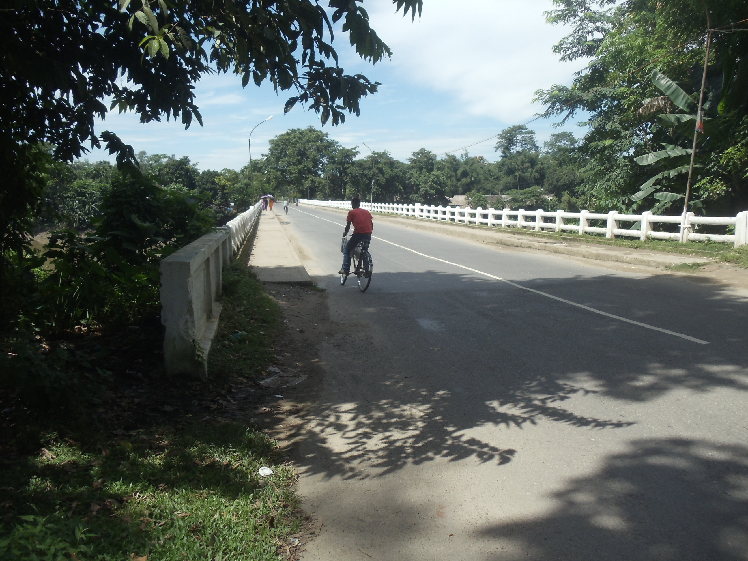 Burhi Dihing Road Bridge - Margherita
