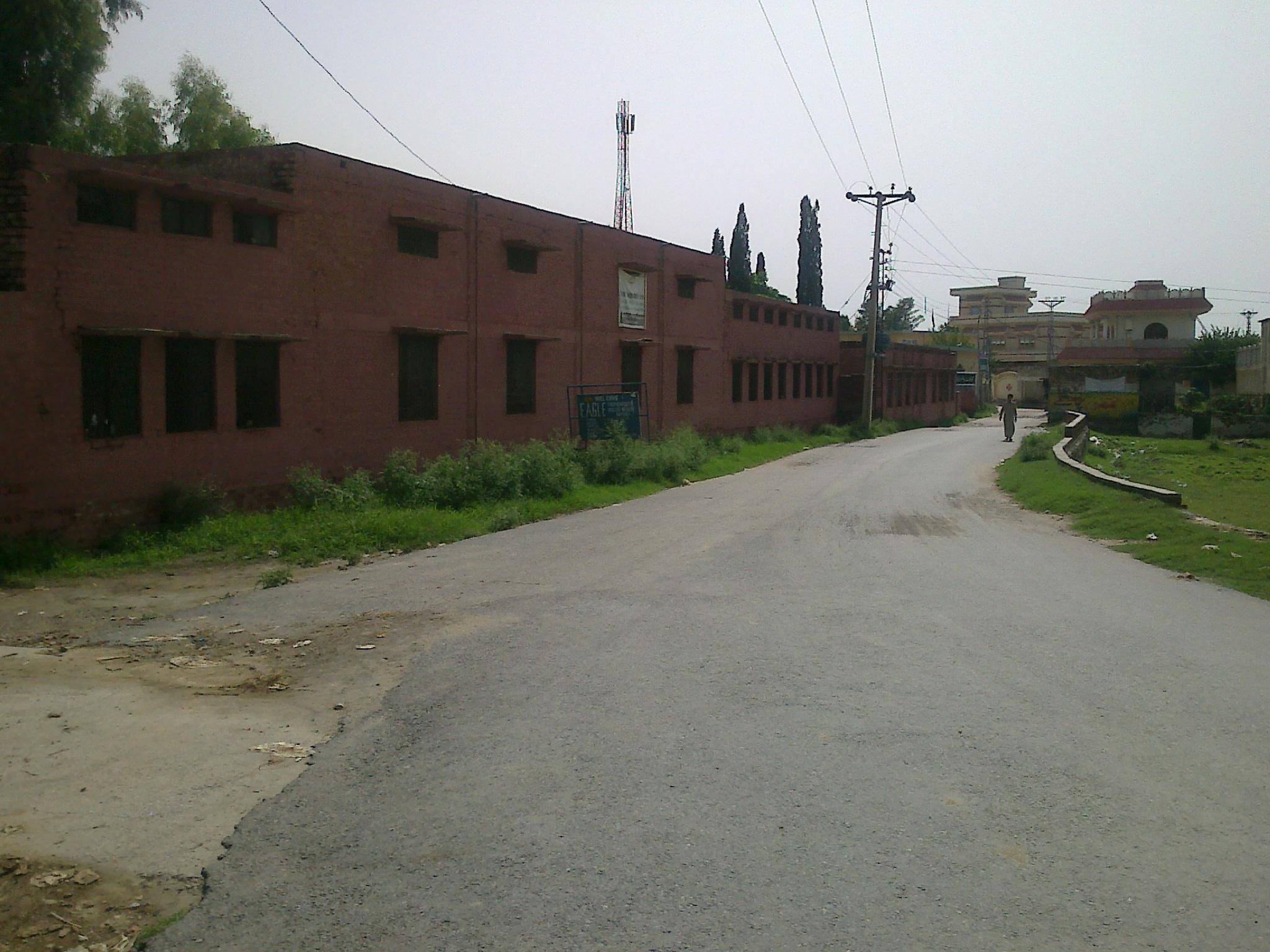 Bassali
