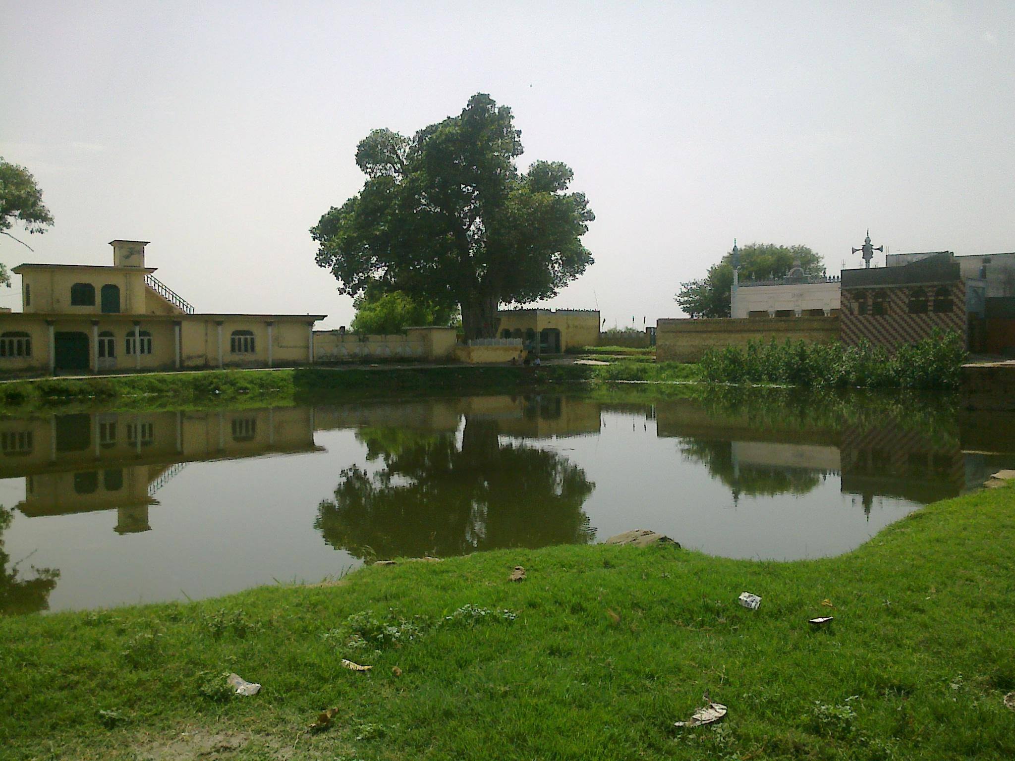 Bassali