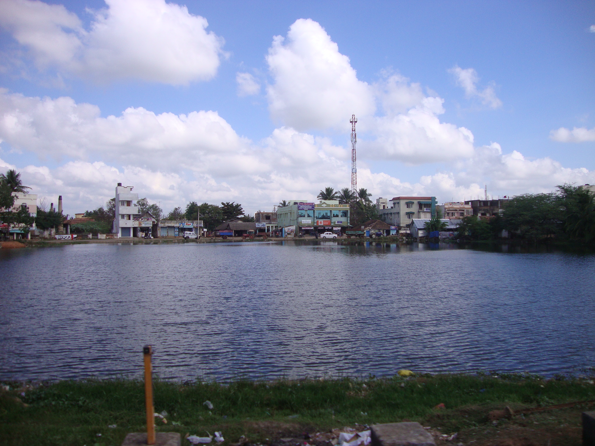 Aranthangi Kuttai Kulam, - Aranthangi