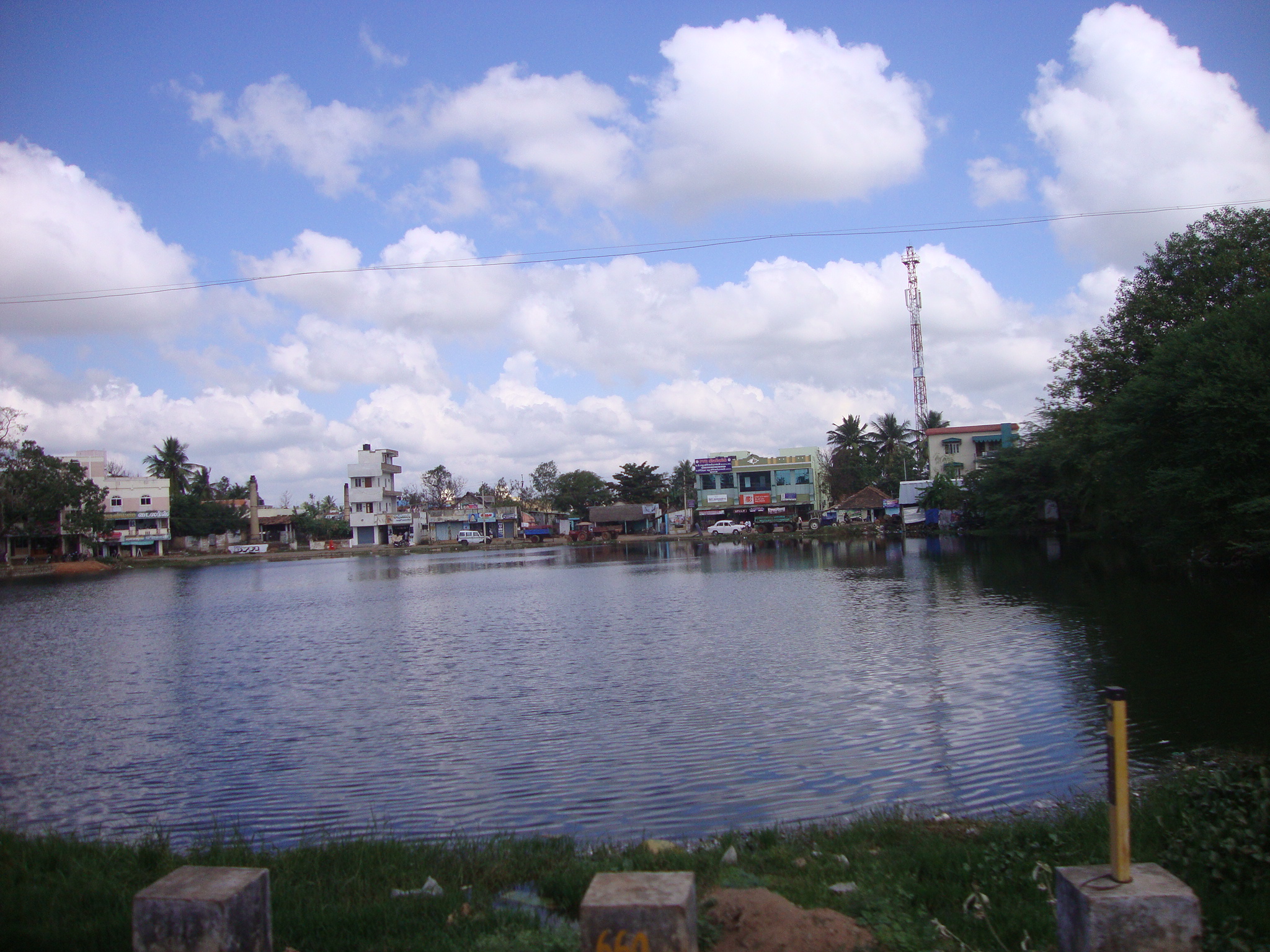 Aranthangi Kuttai Kulam, - Aranthangi