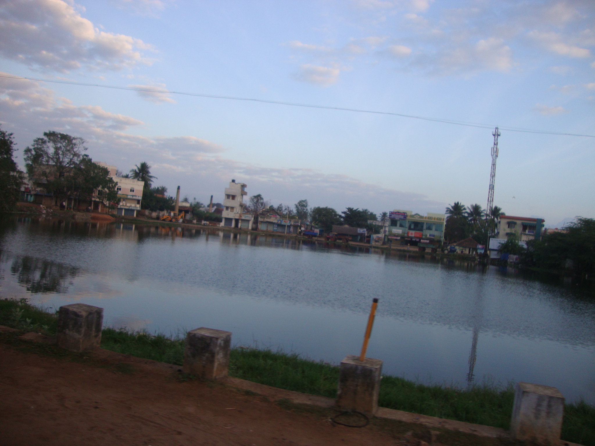 Aranthangi Kuttai Kulam, - Aranthangi