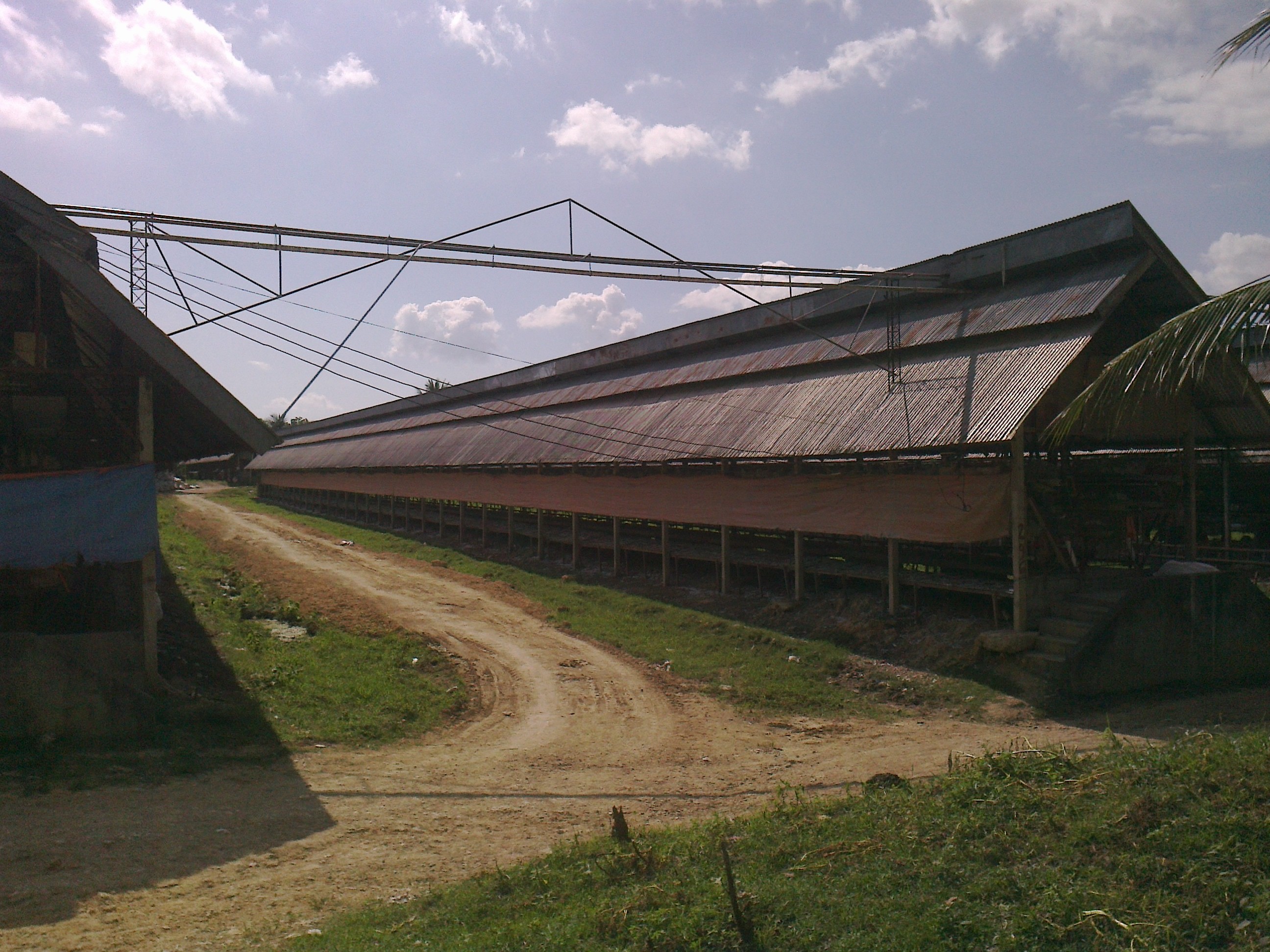 Marcela Farm - Lourdes