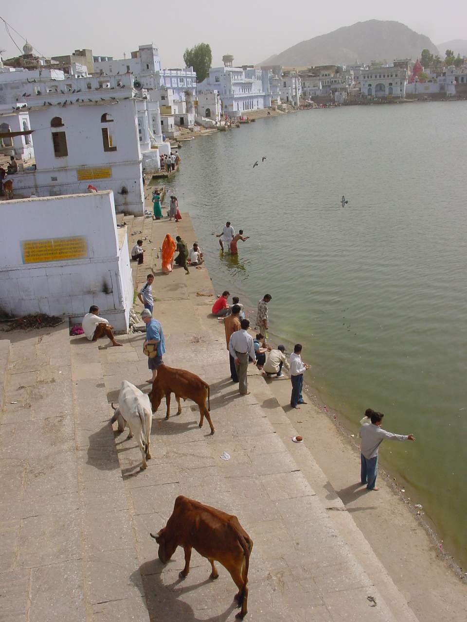 Pushkar Lake - Pushkar