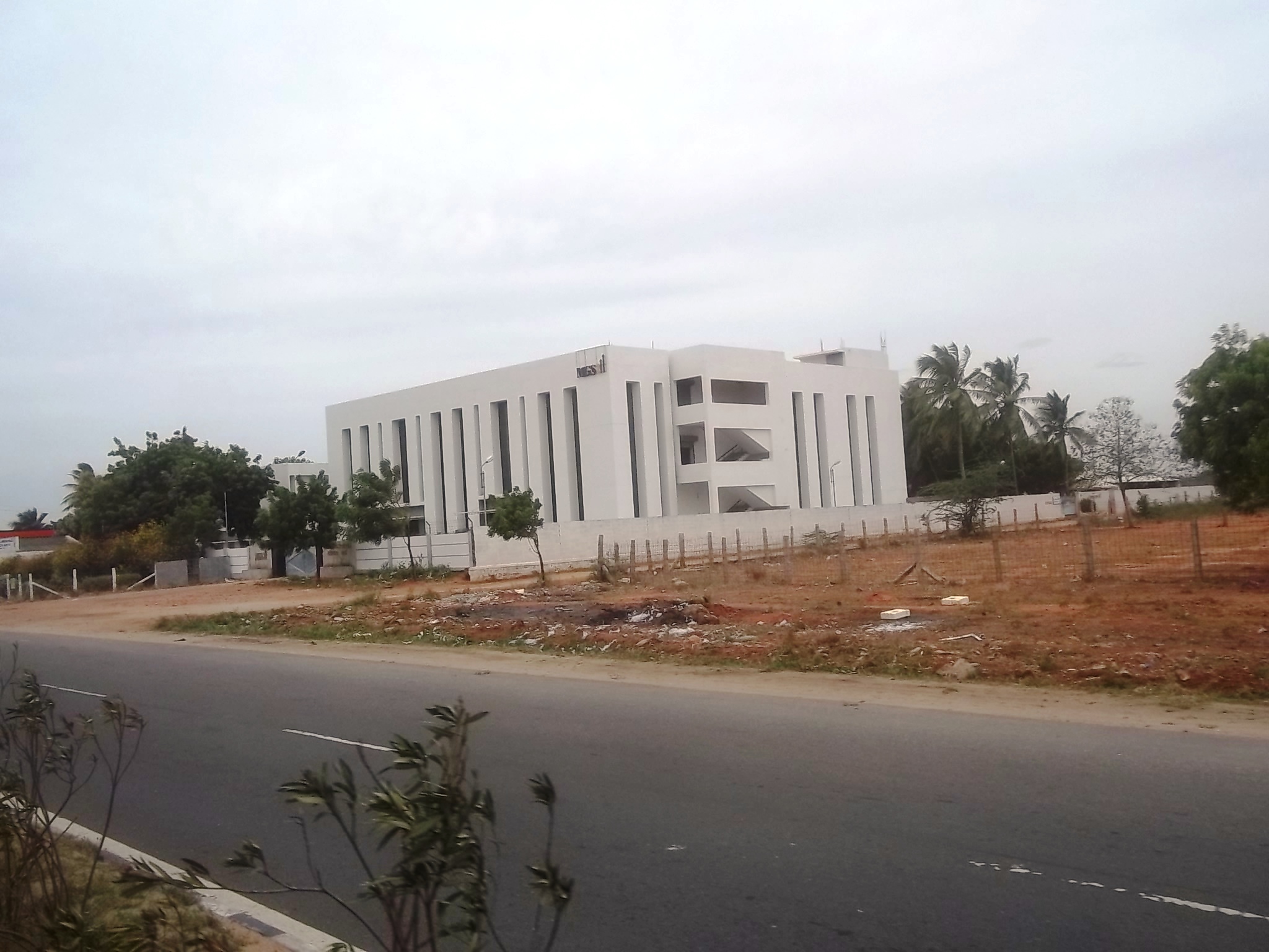 M .G .S International