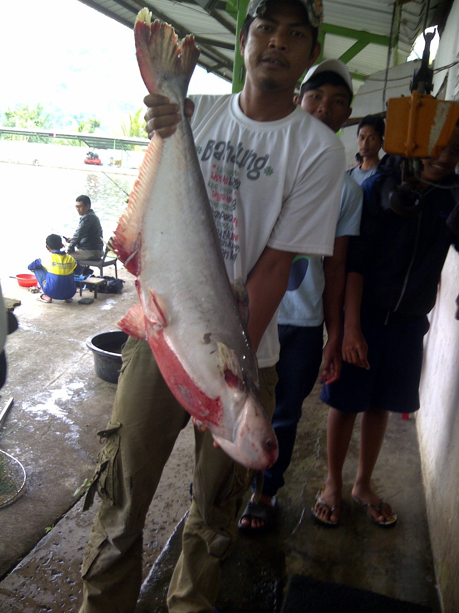 Kolam Pancing Cibeber - Cimahi