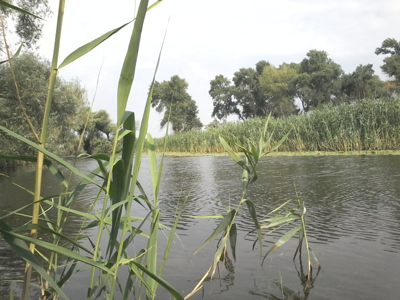 Durna Strait | lake, water, strait / channel / passage / narrows