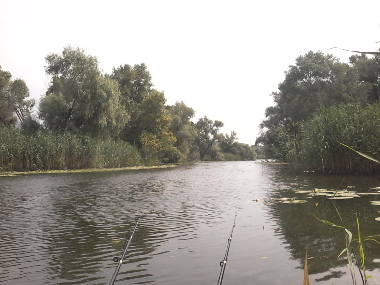 Durna Strait | lake, water, strait / channel / passage / narrows