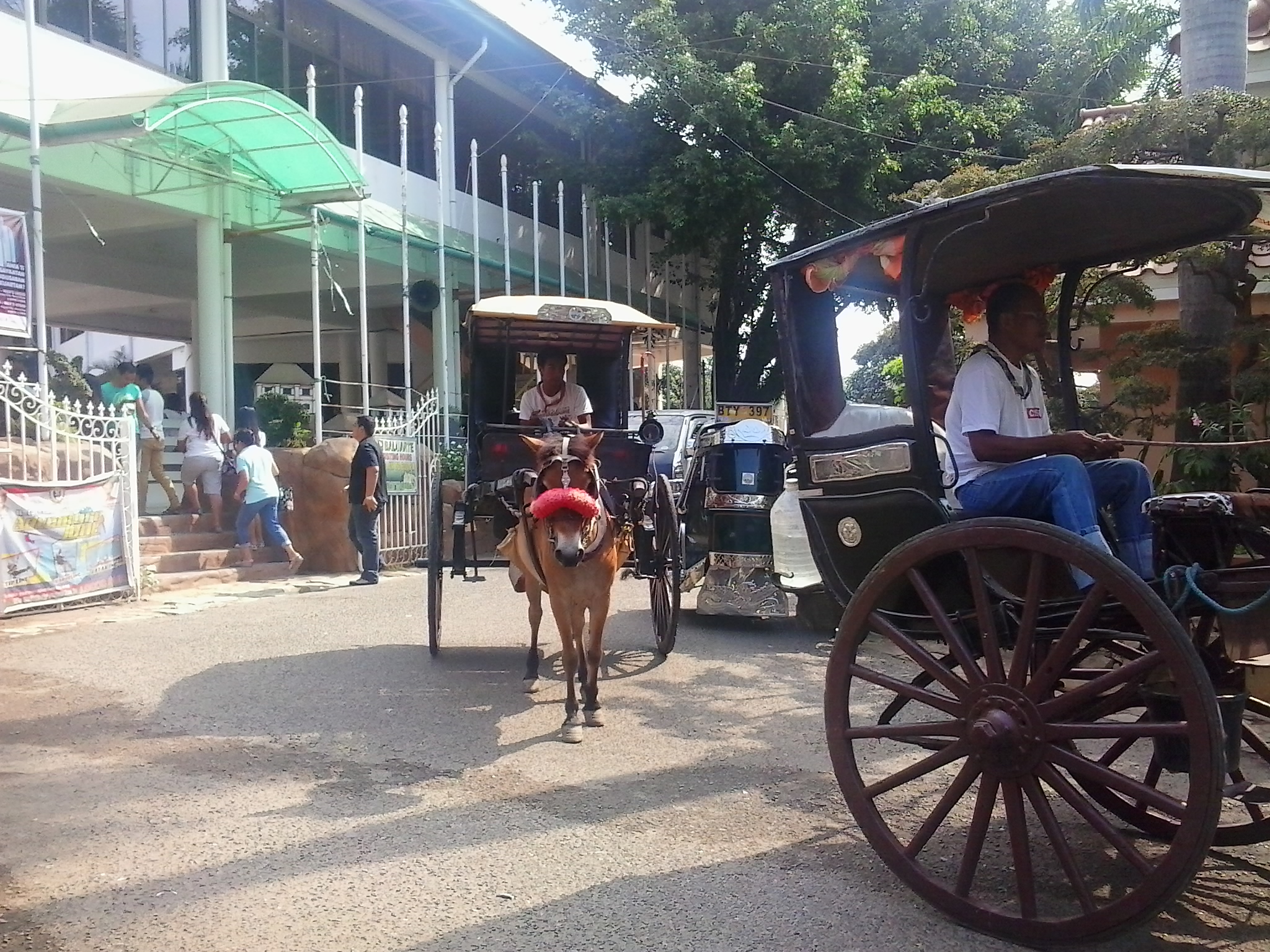 Baluarte Mini Zoo - Vigan