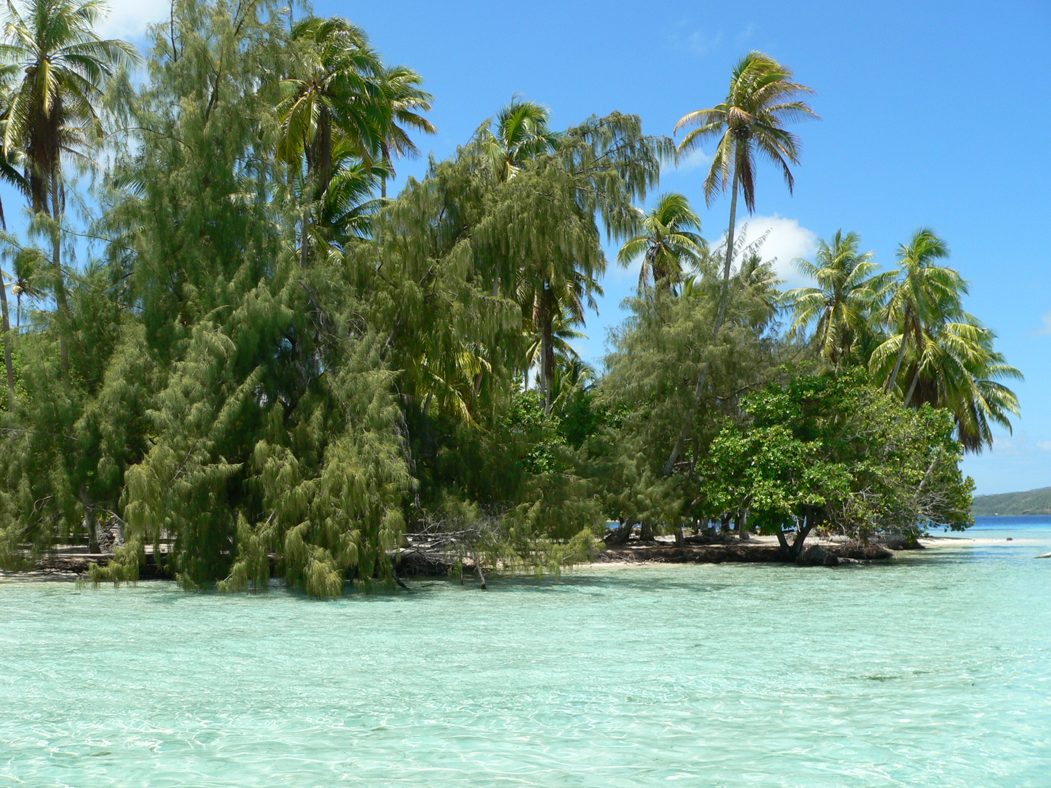 Motu Mahaea