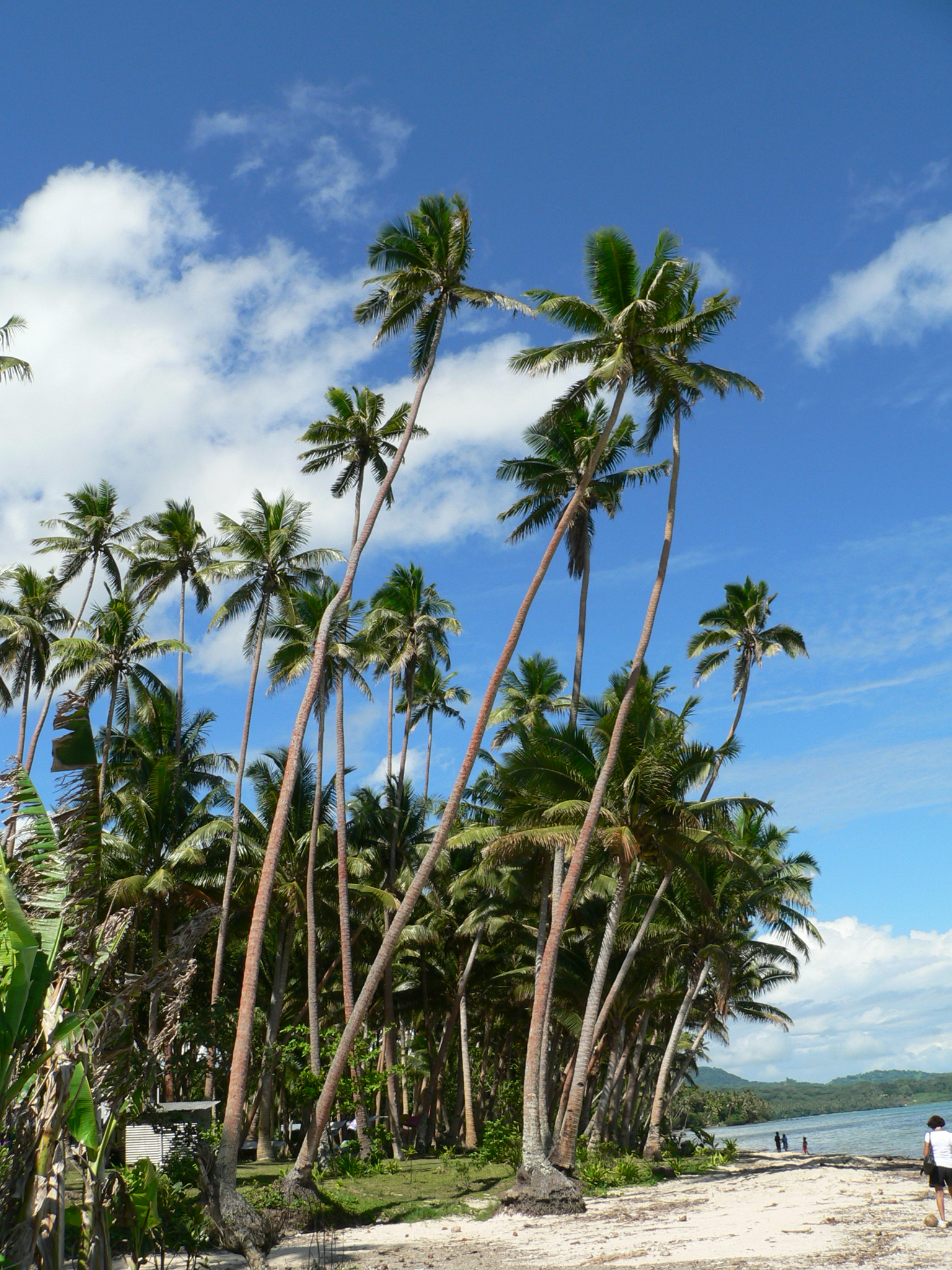Vanua Levu (English)