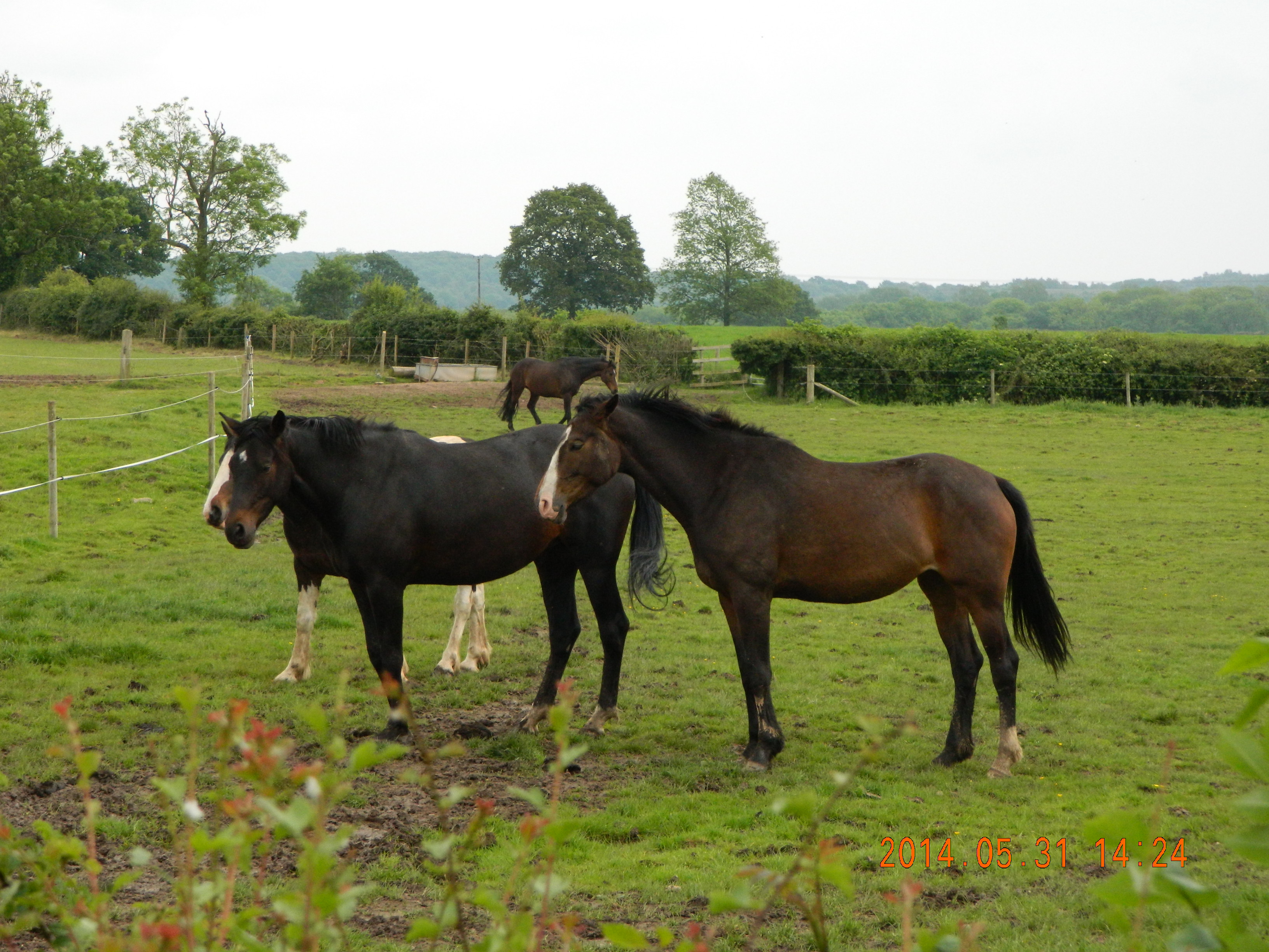 Poplars Farm