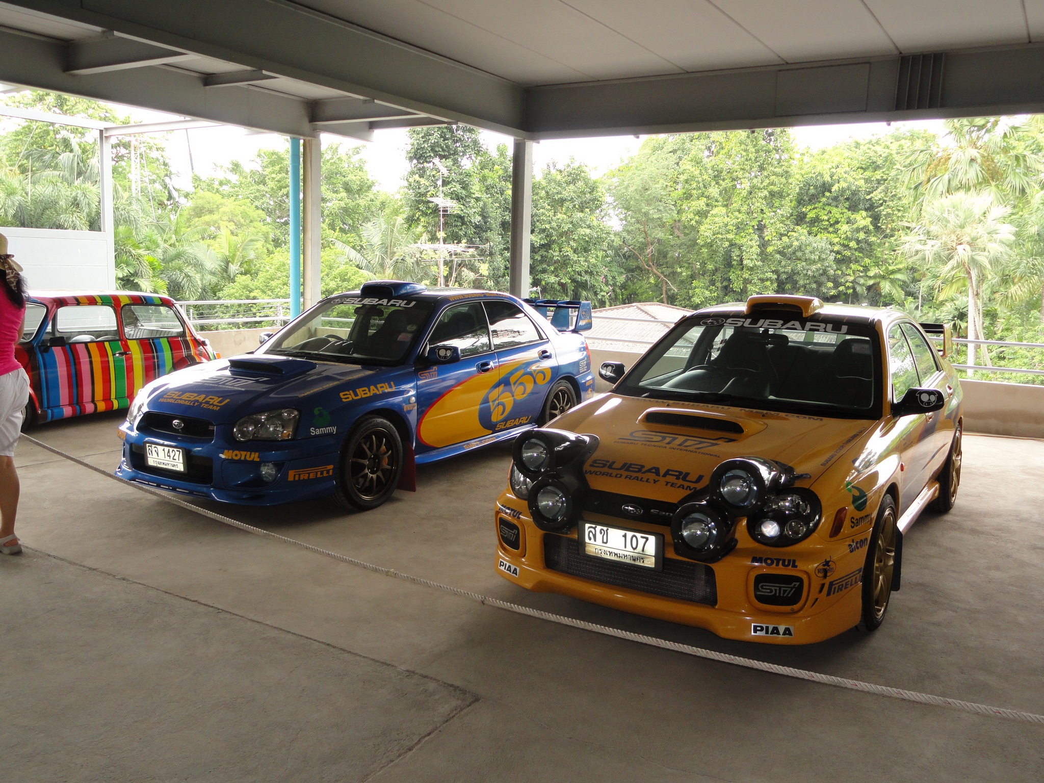Car Garden