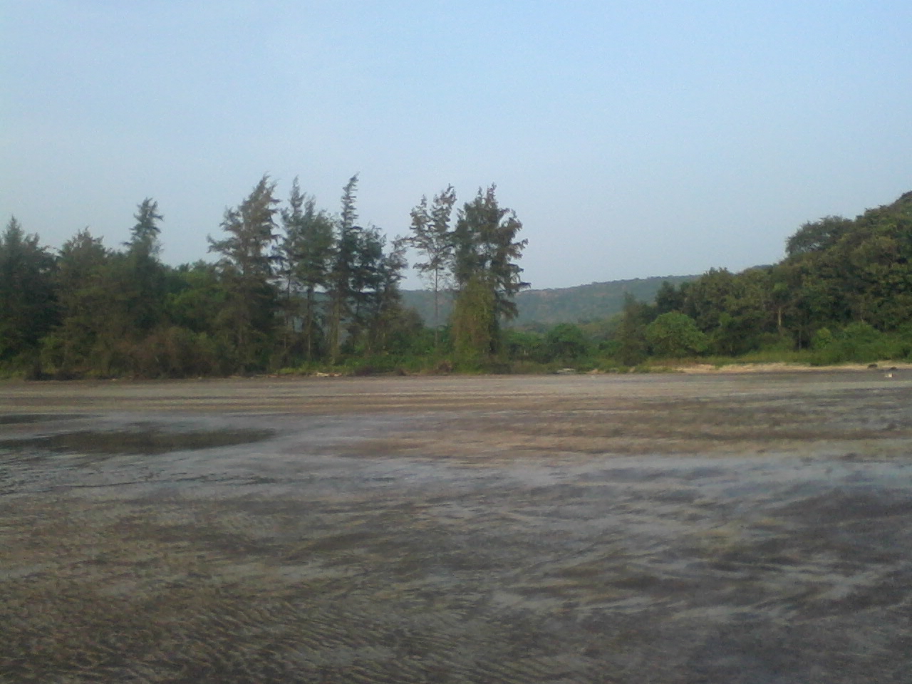 Padle