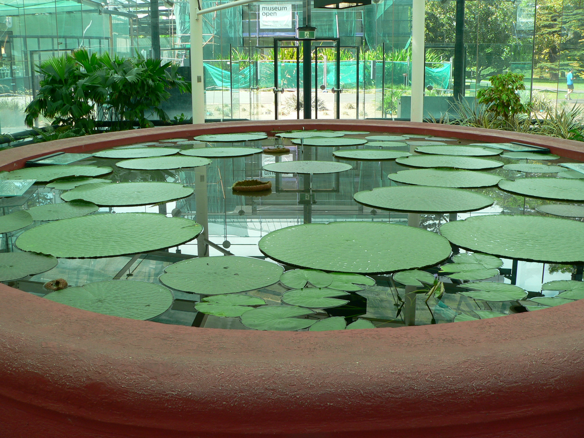 Adelaide Botanic Gardens - Adelaide, SA | park, botanical garden