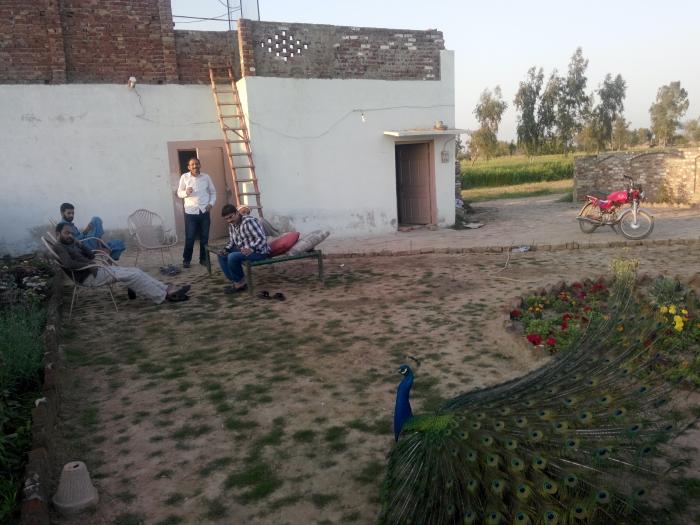 Imran Virk Farm House
