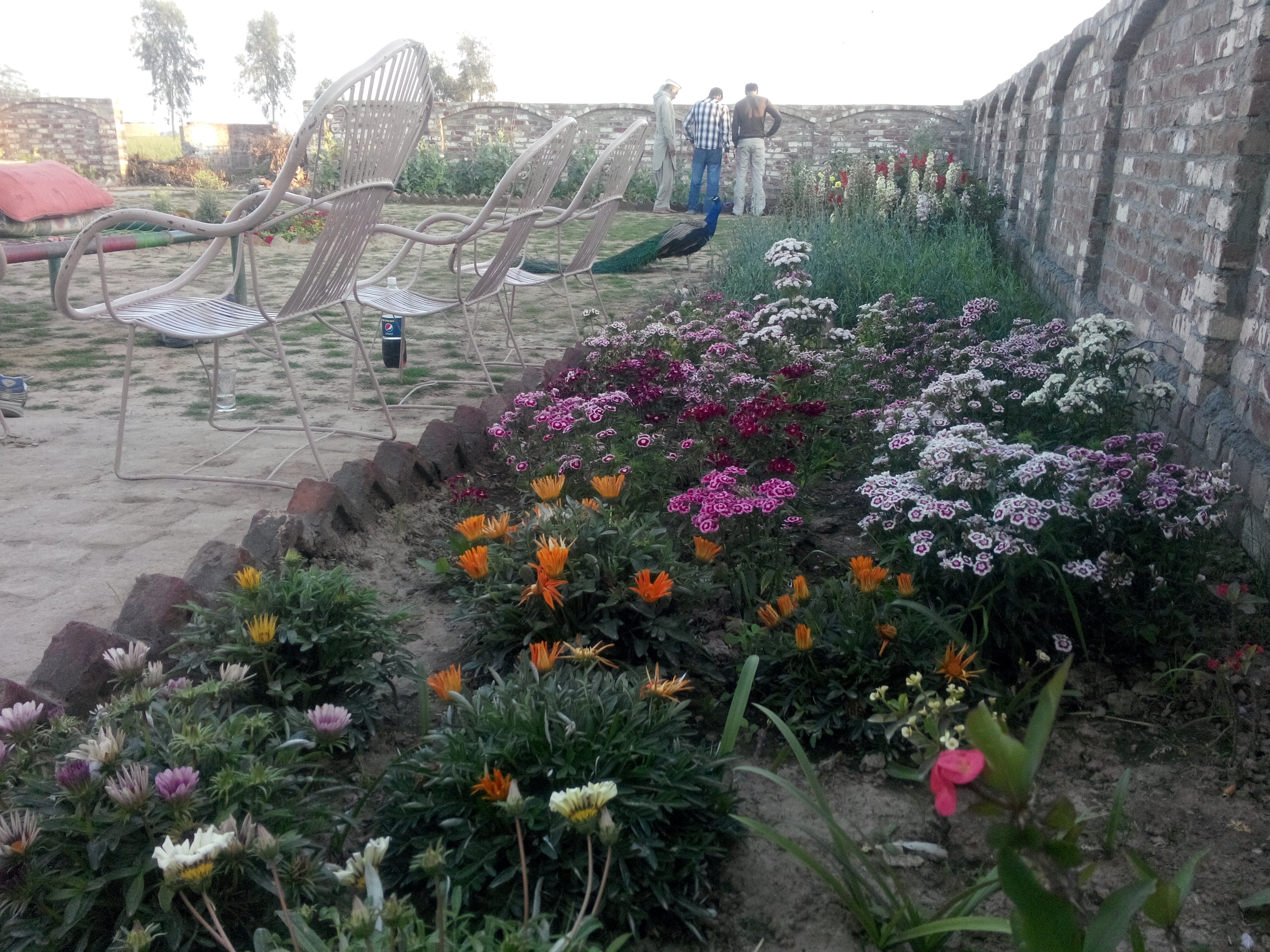 Imran Virk Farm House