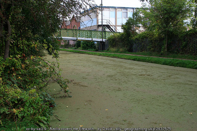 Bridge No.5 - Long Eaton