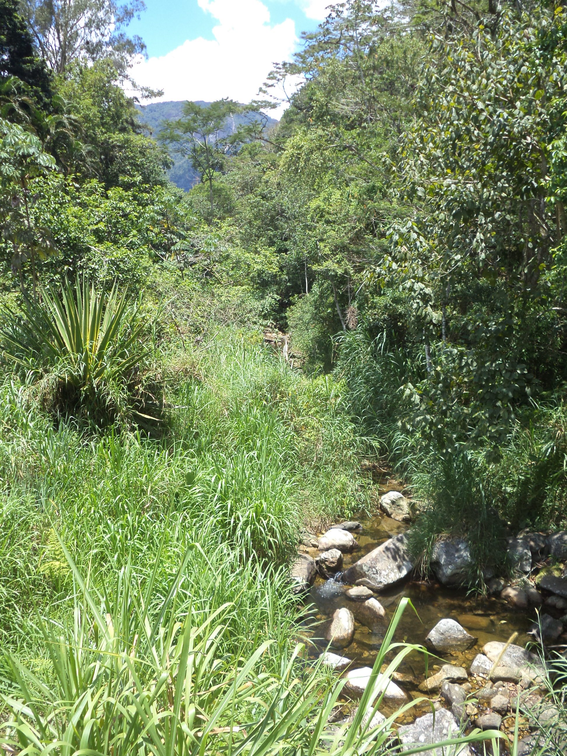 Vale do Matutu - Rio Claro | região