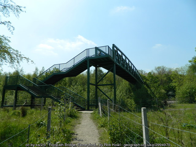Monkey Bridge