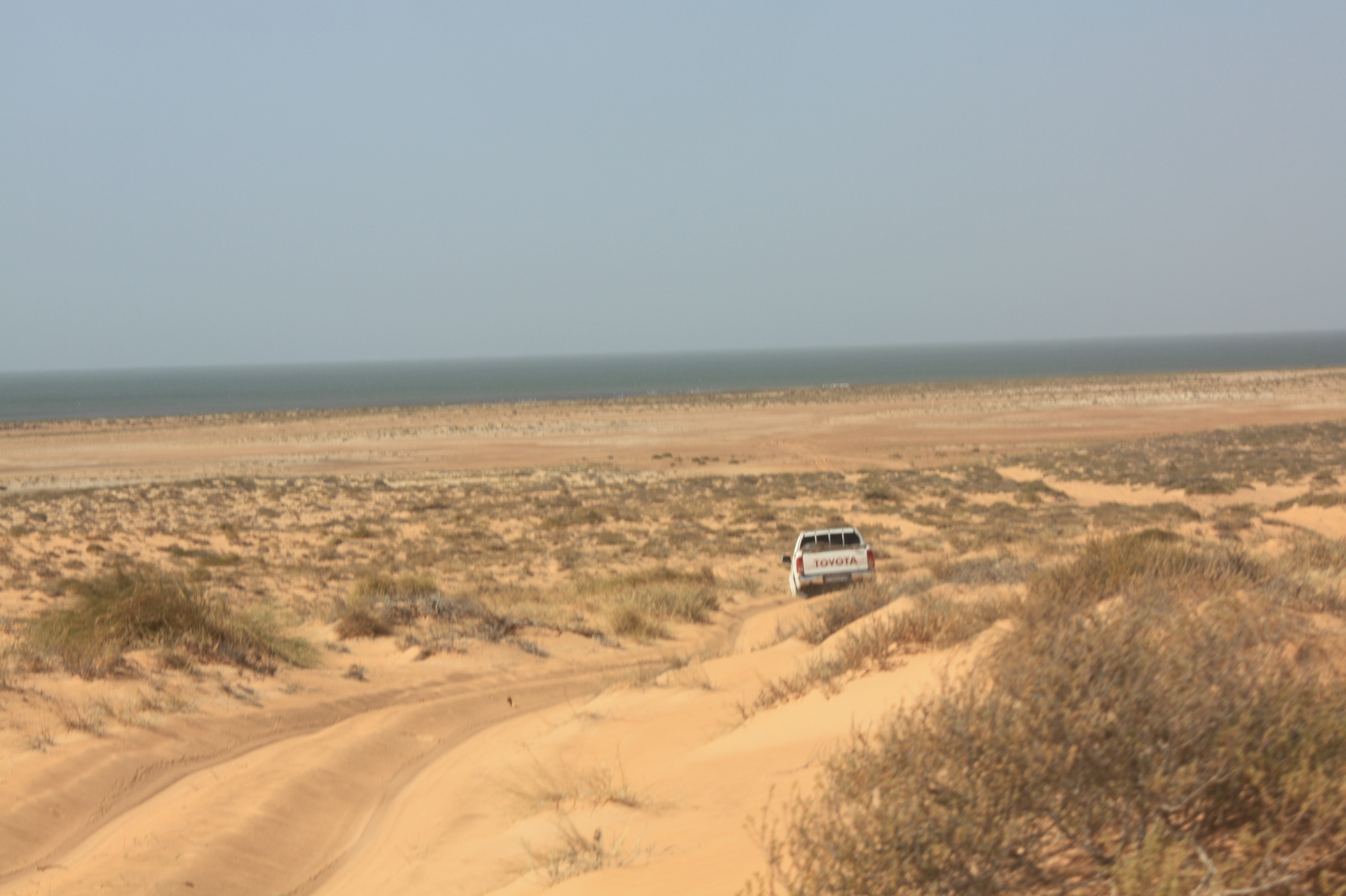 Banc d'Arguin National Park