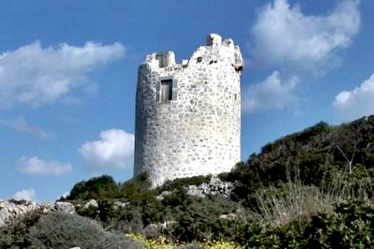 Vigla