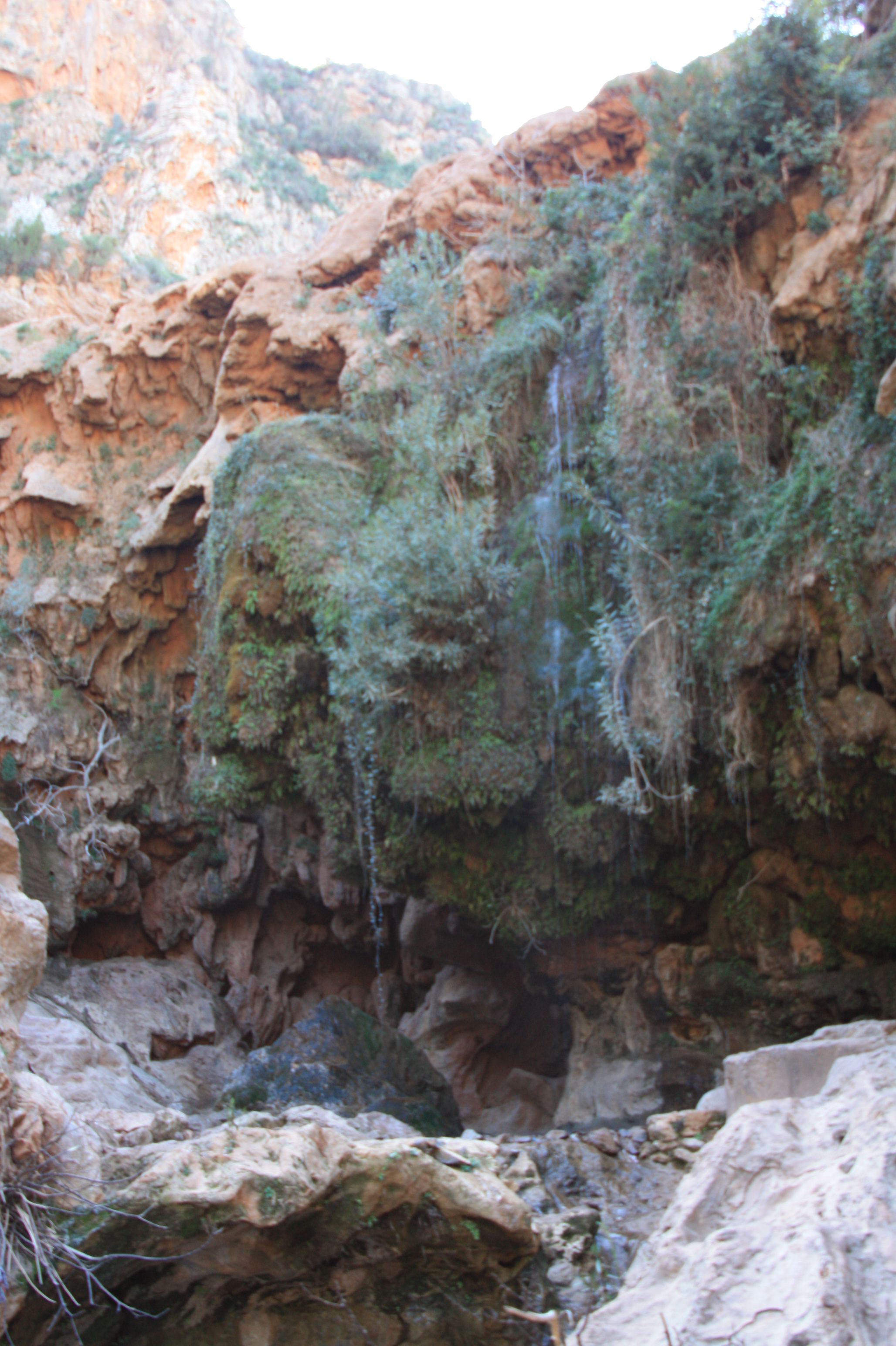les cascades Immouzzer Ida Outanane | chute d'eau, cascade