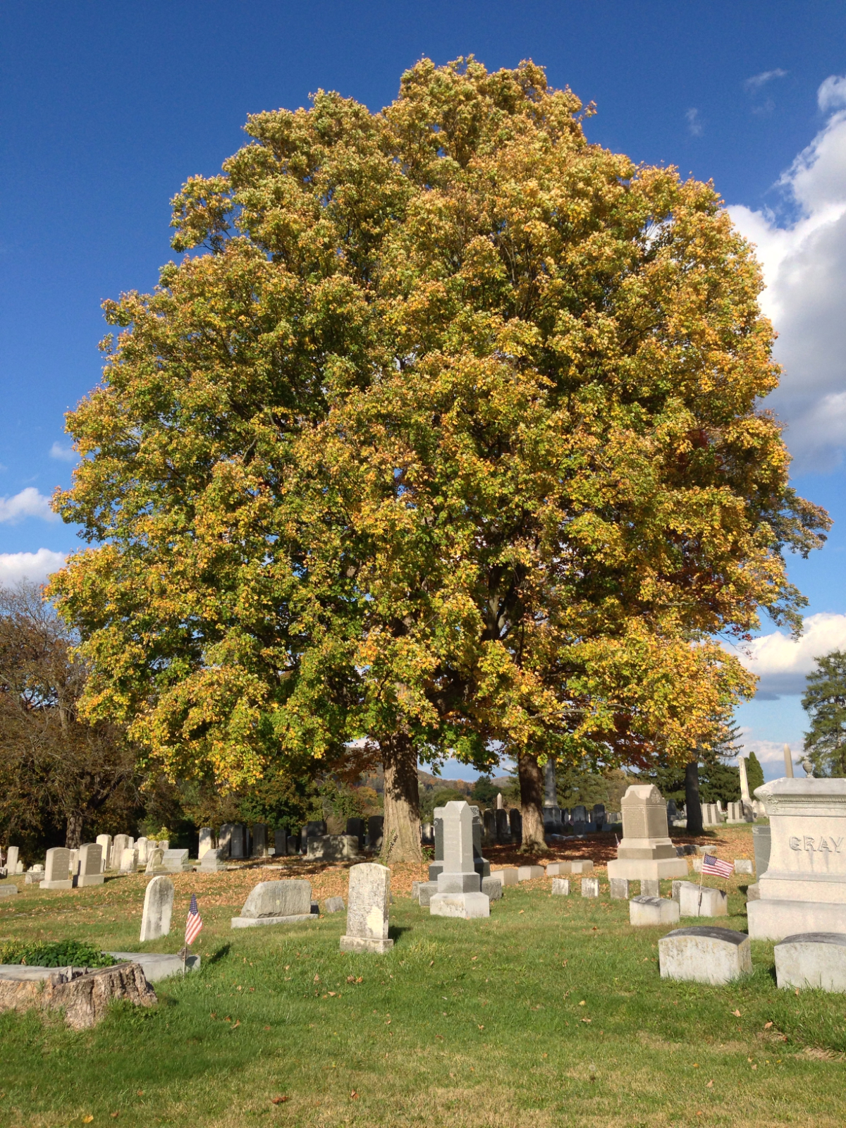 Union Cemetery
