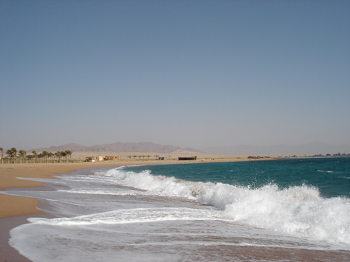Nabq Bay